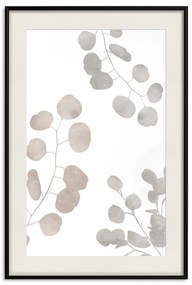 Plakát Kompozice eukalyptové rostliny - listy a větvičky na bílém pozadí