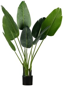 WOOOD Umělá dekorativní rostlina Strelitzia – 164 cm 164 × 96 × 63 cm