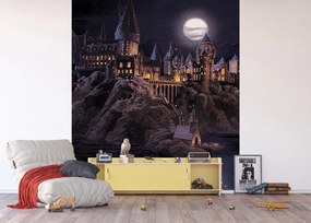Dětská vliesová fototapeta na zed' Harry Potter | 225 x 270 cm | DFTD3P5177