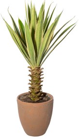 Gasper Umělá rostlina Yucca, 75 cm
