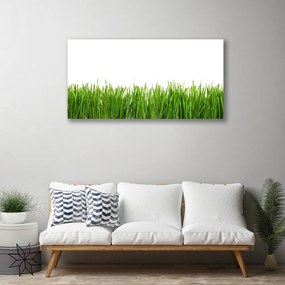 Obraz na plátně Tráva Příroda Rostlina 120x60 cm