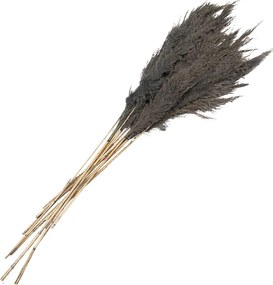 Šedá kytice sušené květy bambusu Bamboo - 100 cm (10ks)