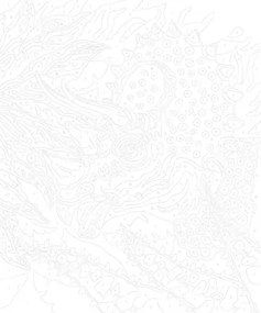 JANOD Malování podle čísel Dinosauři / Kreativní sada / 2 obrázky / 19