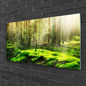 Obraz na skle Mech Les Příroda 125x50 cm