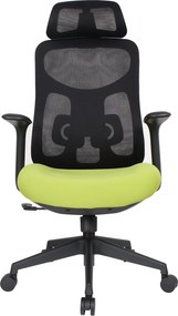 Ergonomická kancelářská židle LERO - černá síťovina / zelená látka / nosnost 150 kg