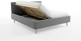 Čalouněná postel deria s úložným prostorem 160 x 200 cm světle šedá MUZZA