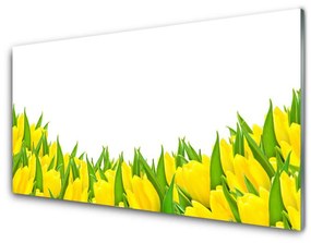 Obraz na skle Květiny Příroda Tulipány 125x50 cm