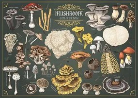 TREFL Puzzle Premium Plus Finders Keepers: Houby / 500 dílků / 48 × 34