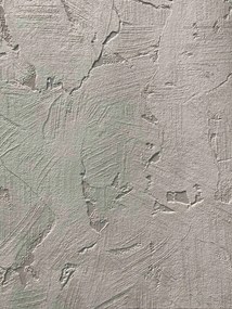 Vliesová tapeta betonová stěrka Aldora 483383 | lepidlo zdarma | 0,53 x 10 m | Rasch
