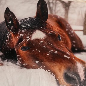 Beránková deka KŮŇ 150 x 200 cm