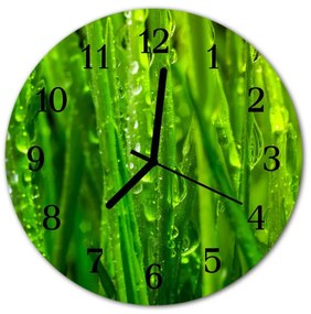 Nástenné skleněné hodiny tráva