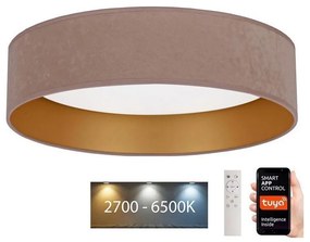 Brilagi | Brilagi - LED Stmívatelné svítidlo VELVET SMART LED/24W/230V Wi-Fi Tuya + DO | BG0430