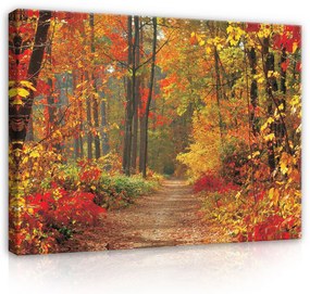Postershop Obraz na plátně: Podzimní les - 80x60 cm