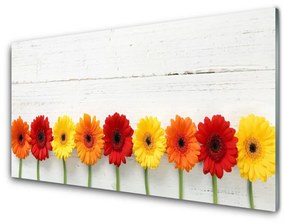 Plexisklo-obraz Květiny Rostlina Příroda 100x50 cm