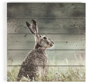 Dřevotisk Zajíc 102506, Hare Print On Wood, Wall Art