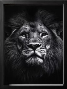 Král savany - obraz - Majestátní lev v černobílém stylu 22 - 40 x 50 cm - 499 Kč