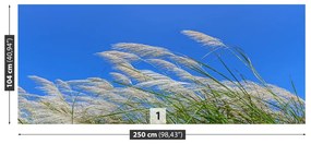 Fototapeta Modrá tráva 104x70
