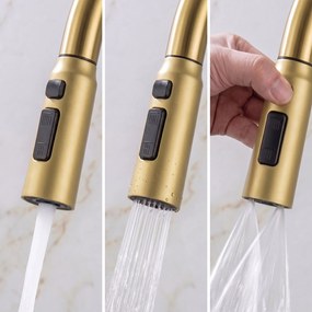Rea, Multifunkční ocelový dřez 10 v 1 REA Alonzo Brush Gold, ZLE-06419
