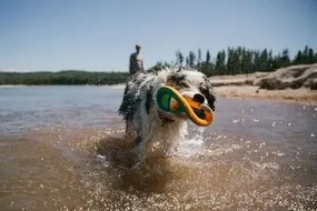 Ruffwear Hydro Plane Aurora Teal M / Hračka pro psy