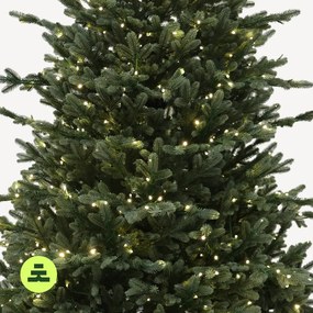 Smrk Exclusive 100 % 750 LED 210 cm