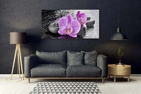 Plexisklo-obraz Orchidej Květiny Kameny Zen 120x60 cm