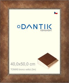 DANTIK rámeček 40x50 | TOMAS bronz velká (Sklo Čiré)