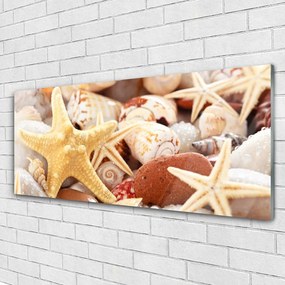 Plexisklo-obraz Hvězdice Mušle Pláž 125x50 cm