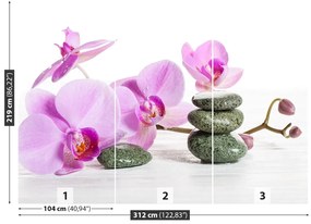 Fototapeta Lázně Orchidej 104x70