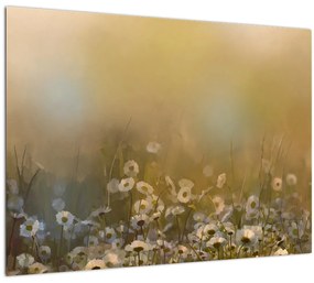 Skleněný obraz - Olejomalba sedmikrásek (70x50 cm)