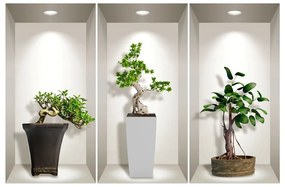 Sada 3 3D samolepek na zeď Ambiance Bonsai Plants