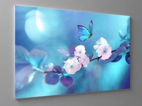 Liox Tyrkysový obraz motýl Rozměr: 90 x 60 cm