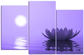 Obraz na plátně - Zen lotus 1167VC (135x90 cm)