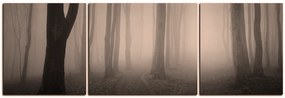 Obraz na plátně - Mlha v lese - panoráma 5182FC (90x30 cm)