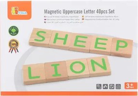 VIGA Dřevěná magnetická písmenka / 40 ks / od 3 let