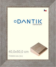 DANTIK rámeček 40x50 | TOMAS bílá velká (Sklo Čiré)