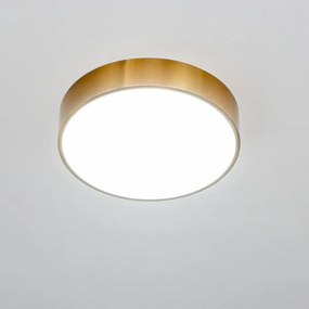 Brilagi - LED Koupelnové stropní svítidlo POOL LED/24W/230V pr. 30 cm IP54 bronz