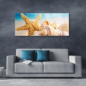 akrylový obraz Hvězdice Mušle Umění 125x50 cm