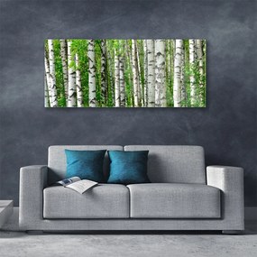 akrylový obraz Les Rostlina Příroda 125x50 cm