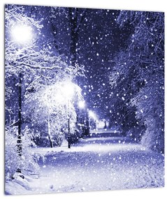 Obraz - Kouzelná zimní noc (30x30 cm)