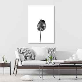 Gario Obraz na plátně Květina se stonkem Rozměry: 40 x 60 cm