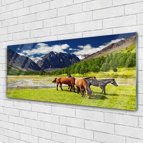Plexisklo-obraz Hory Stromy Koně Zvířata 125x50 cm