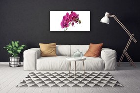 Obraz na plátně Orchidej Květiny Příroda 125x50 cm