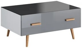 Konferenční stolek Brillo - bílá / šedý lesk / grafit / dub artisan