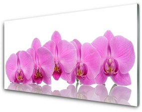 Obraz na skle Růžová Orchidej Květiny 100x50 cm