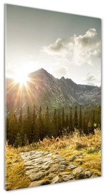 Wallmuralia Vertikální Fotoobraz na skle Západ slunce Tatry 50x100