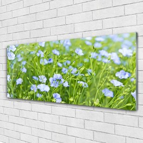 akrylový obraz Květiny Tráva Rostlina Příroda 125x50 cm