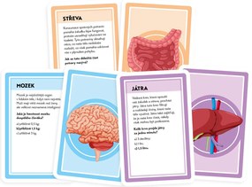 Tactic Pojďme se učit: Naše úžasné tělo