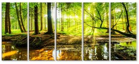 Pětidílný obraz lesní úsvit Velikost (šířka x výška): 150x70 cm