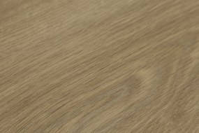 PVC podlaha - lino Logitex Ultimate 55 Elias T47, na mieru, šíře 2m,4m, hnedá, filc, chodba / predsieň, IVC Commercial