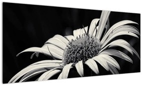 Černobílý obraz květu (100x40cm)